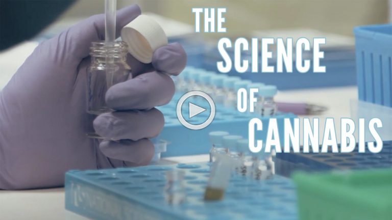Green Flower Media Presents “Cannabis as Medicine” | The Marijuana Times