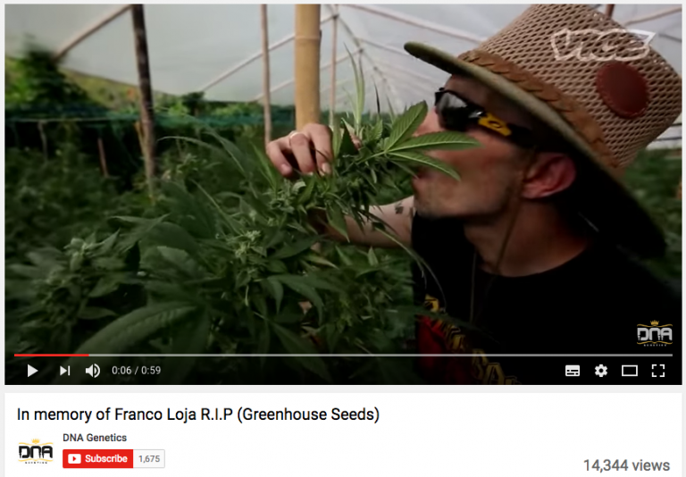 The Cannabis World Pays Tribute to Strain Hunting Icon Franco Loja ...